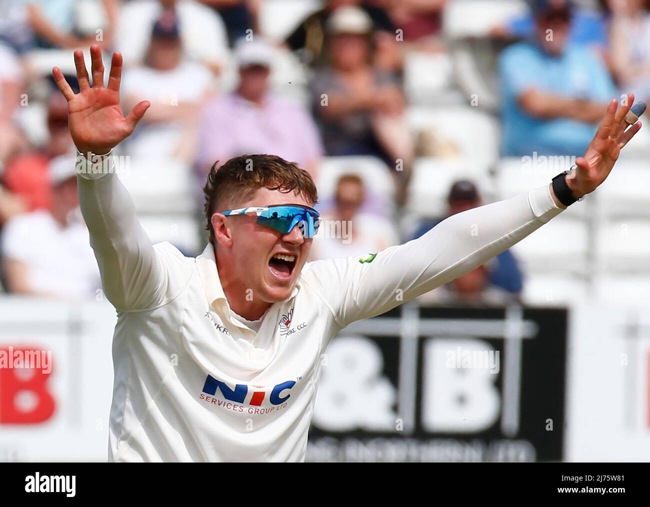 CHELMSFORD ENGLAND - MAY 06 : Yorkshire's Dominic Bess claims LBW not ...