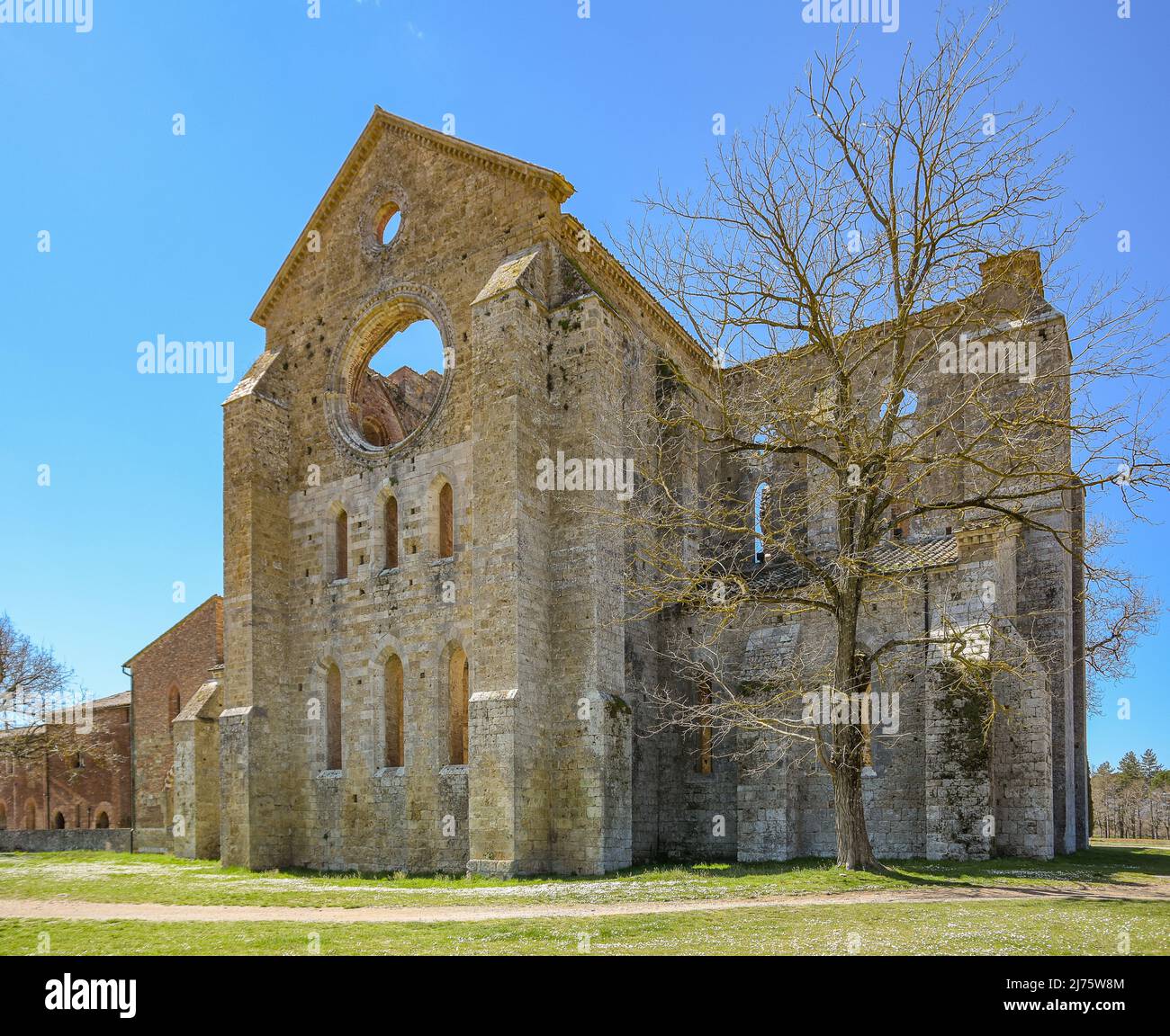 Abandoned cathedral near Siena, Tuscany, Italy - Abbazia di San Galgano ...