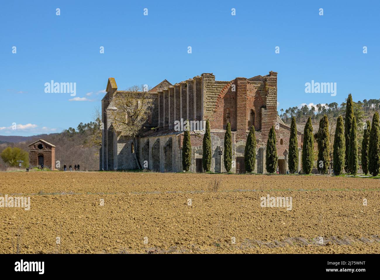 Abandoned cathedral near Siena, Tuscany, Italy - Abbazia di San Galgano ...