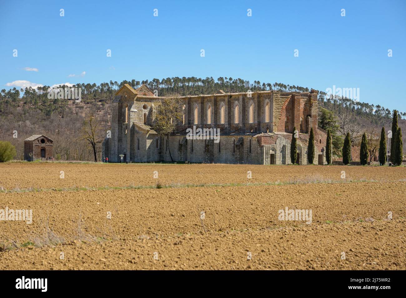 Abandoned cathedral near Siena, Tuscany, Italy - Abbazia di San Galgano ...