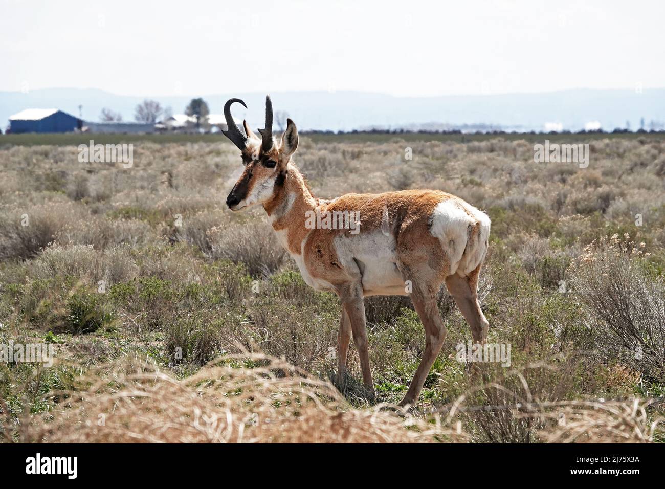 Open prairie hi-res stock photography and images - Alamy