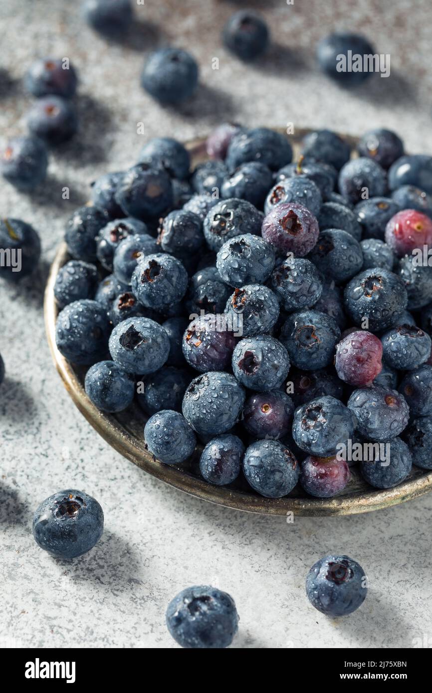 Raw Blue Organic Blueberries in a Bowl Ready to Eat Stock Photo - Alamy