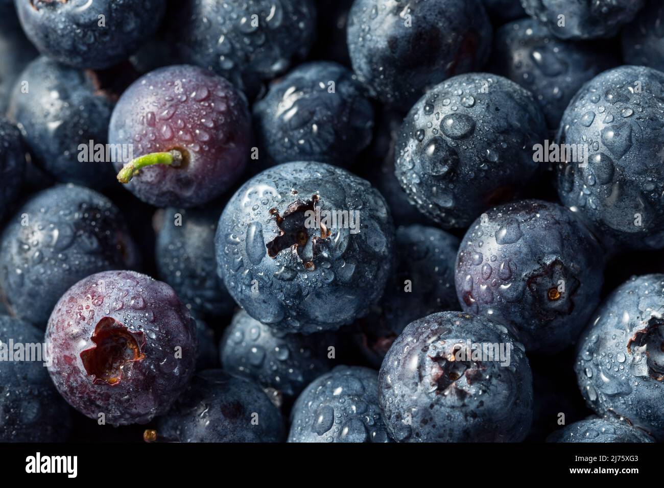 Raw Blue Organic Blueberries in a Bowl Ready to Eat Stock Photo - Alamy