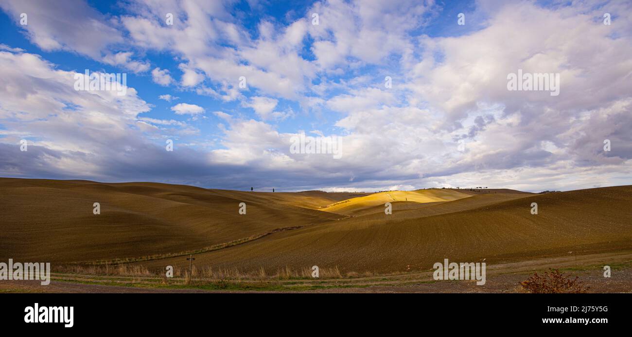 Typical view in Tuscany, the colorful rural fields and hills Stock ...