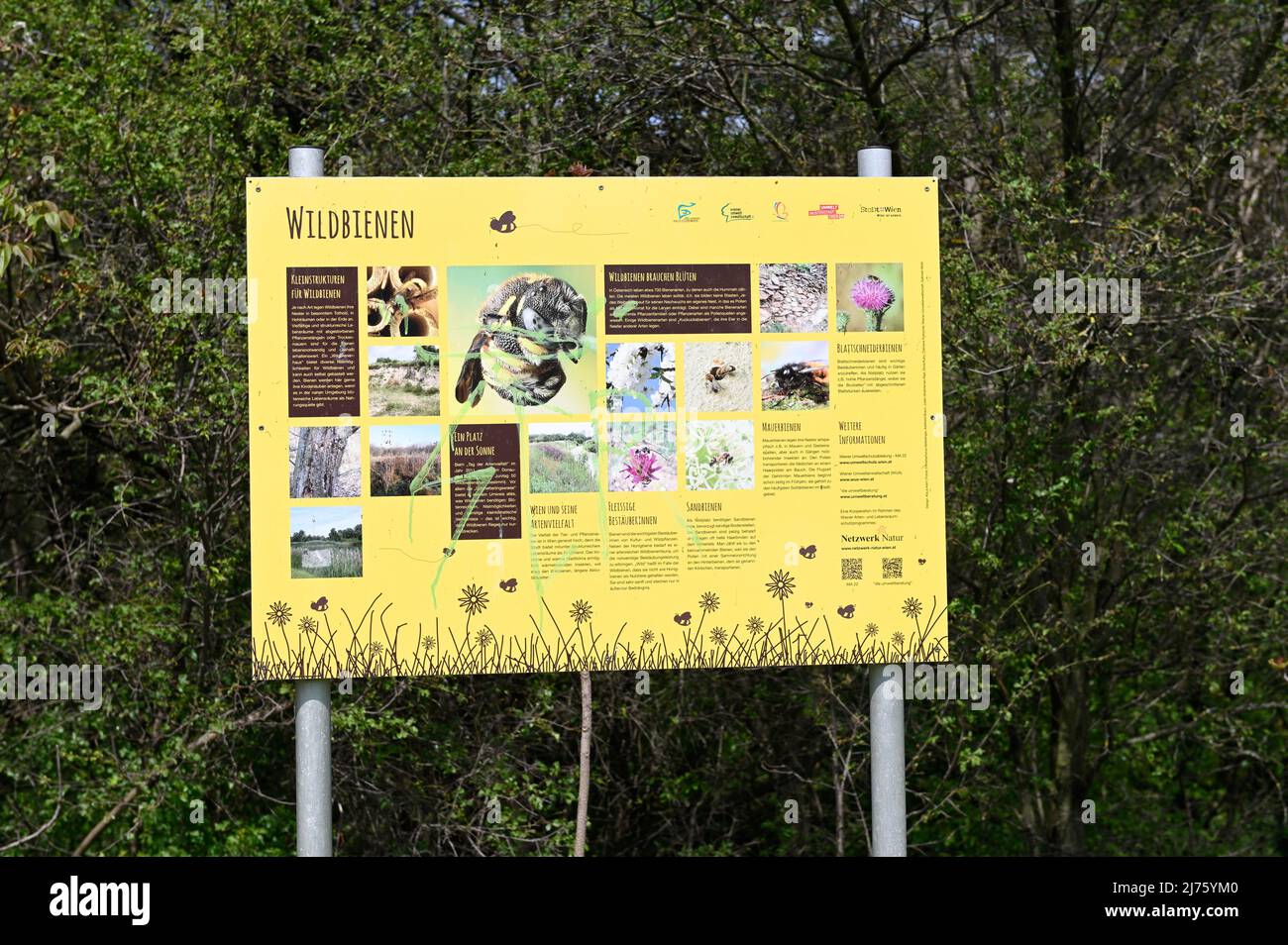 Vienna, Austria. Wild bees in the Danube Park Stock Photo - Alamy