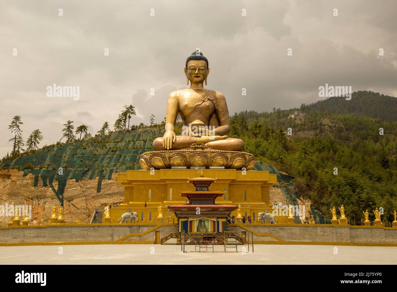 Buddha Dordenma Statue, Thimphu Bhutan Stock Photo - Alamy