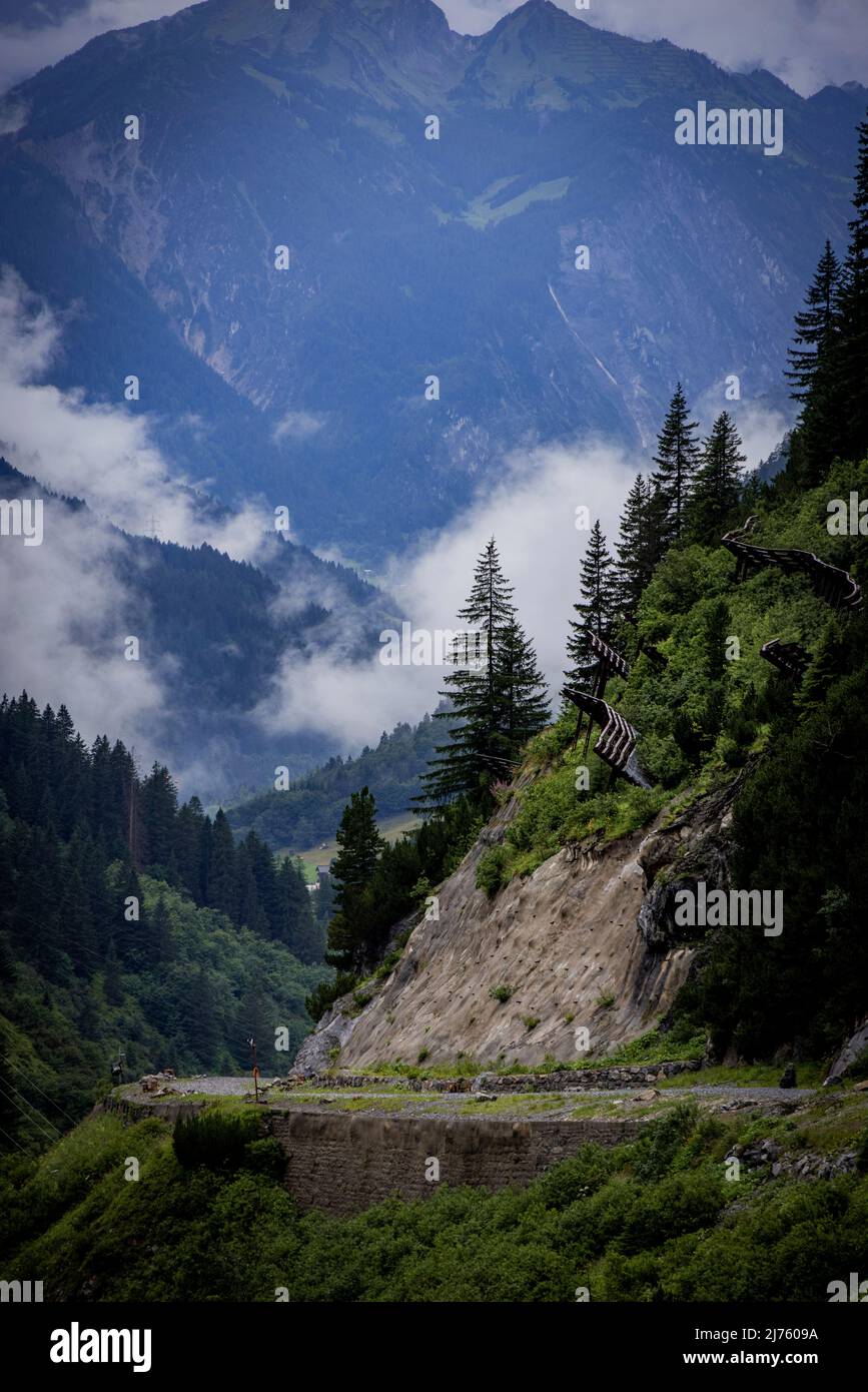 Deep clouds over the fir trees in the austrian alps hi-res stock ...