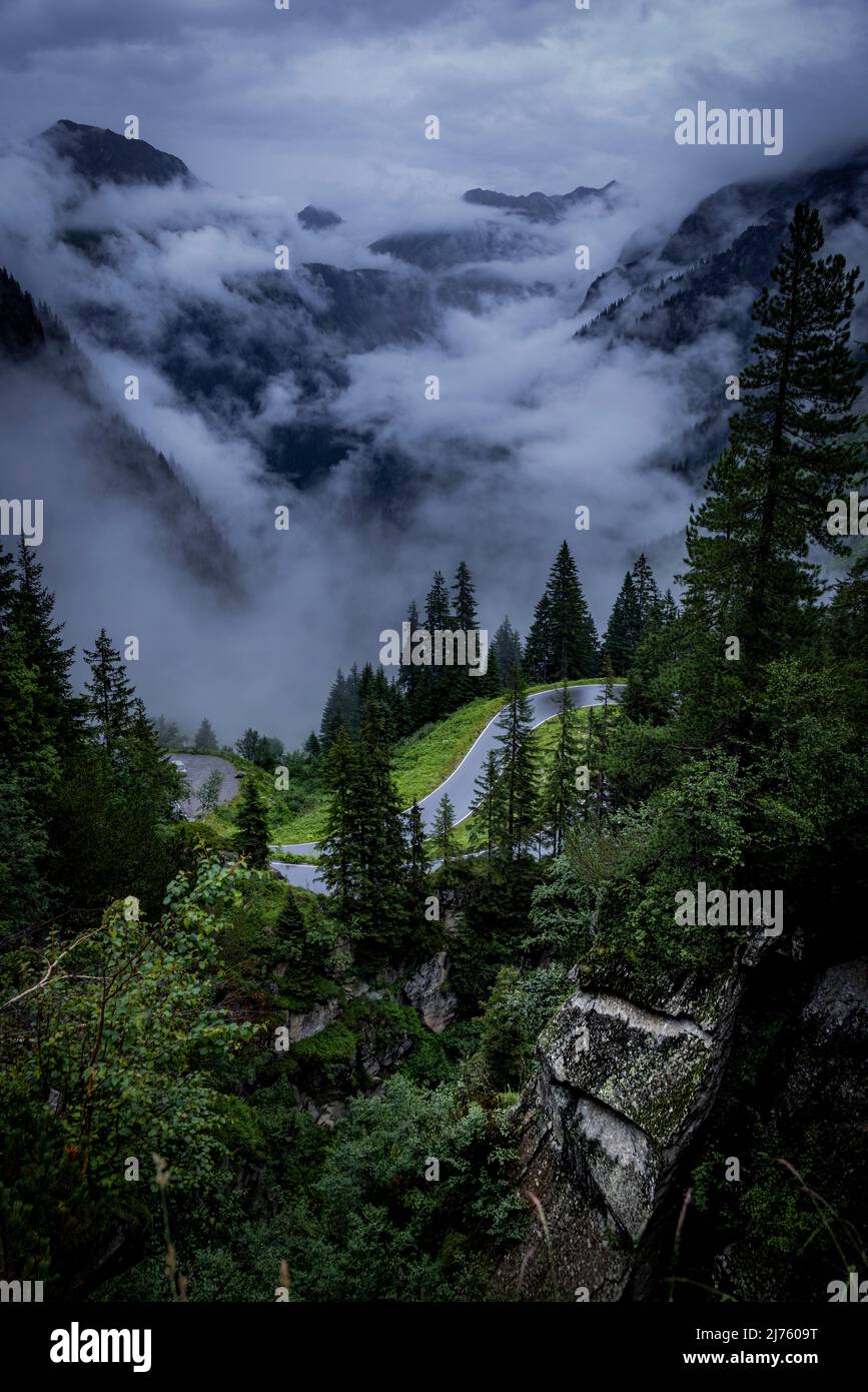 Deep clouds over fir trees hi-res stock photography and images - Alamy