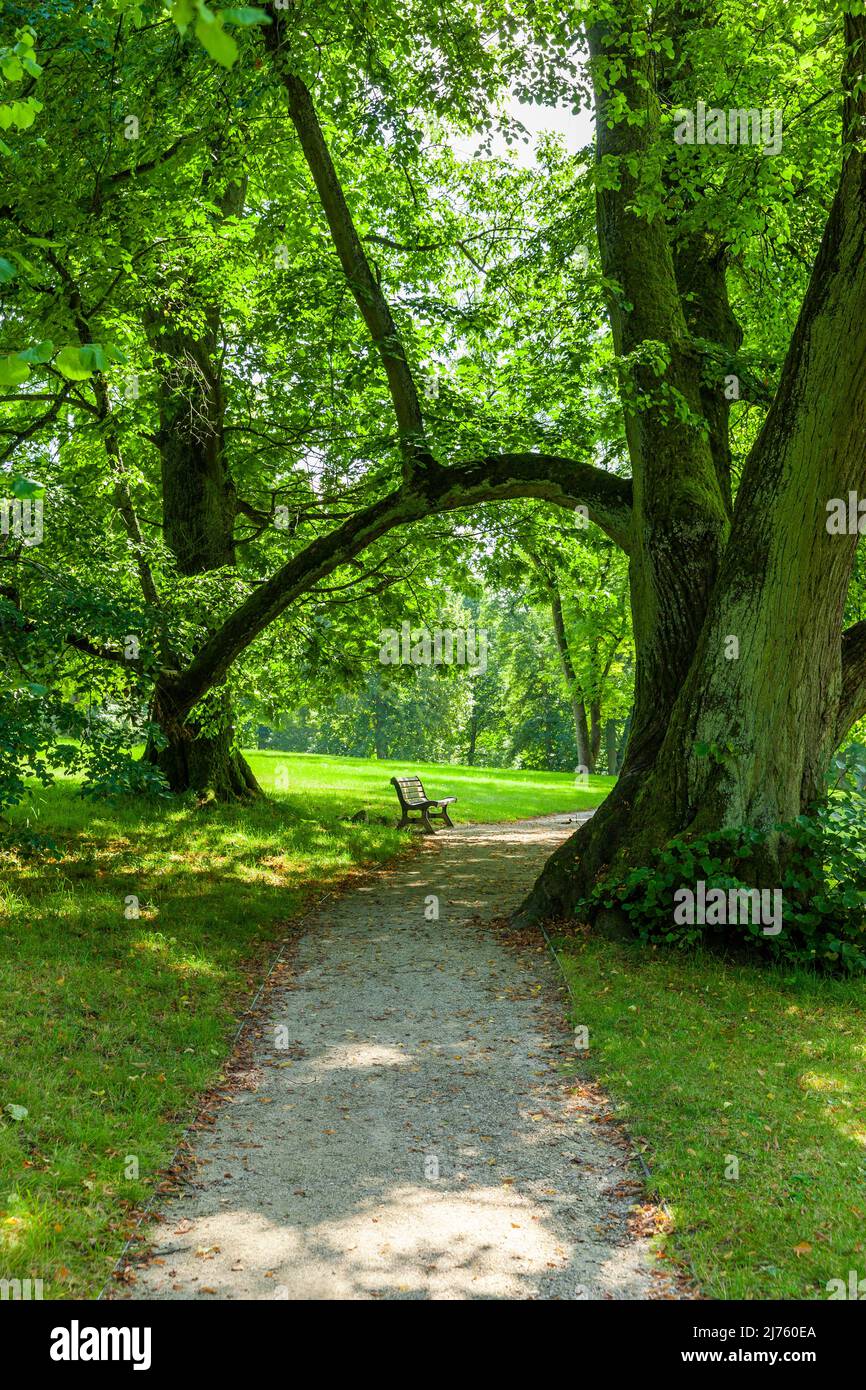 Beautiful park hi-res stock photography and images - Alamy