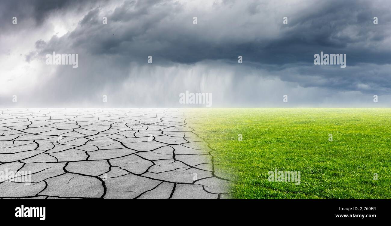 Desert rainfall hi-res stock photography and images - Alamy