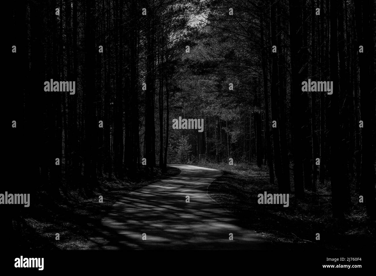 Cycle walk path in hi-res stock photography and images - Alamy