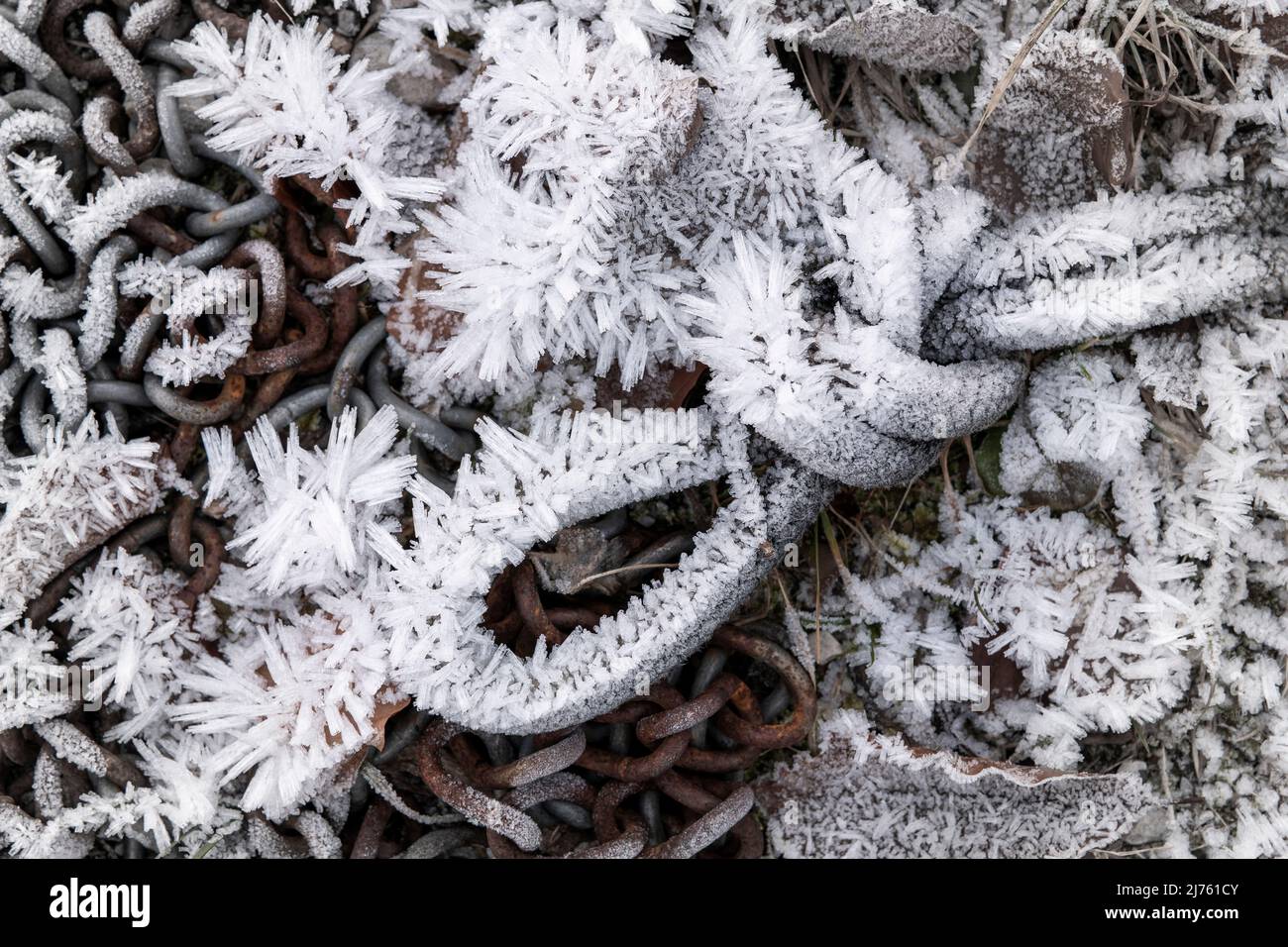 On the shore of a lake between a chain lies a rope covered with figure ...