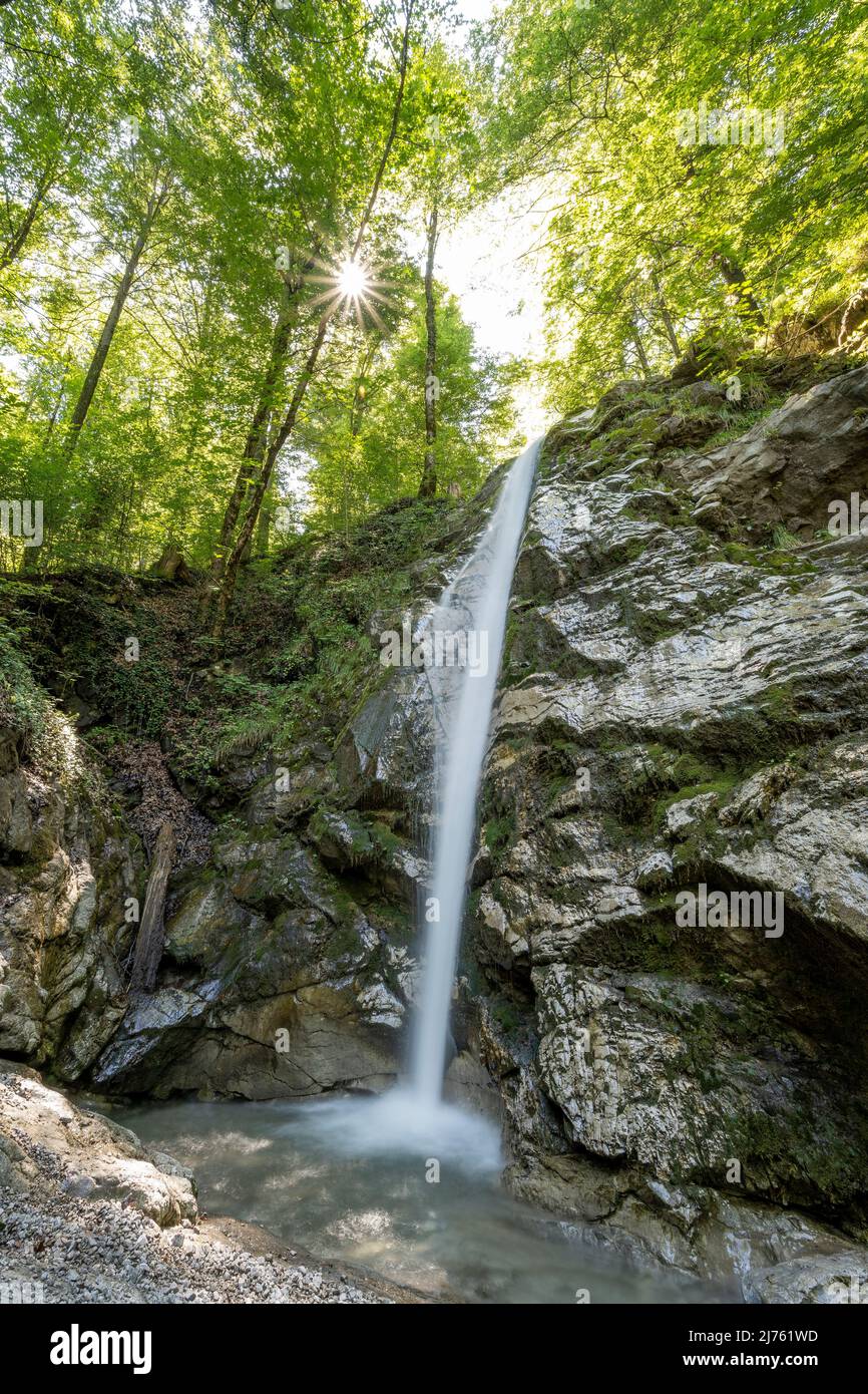 One of the Kesselbach waterfalls with green forest and sun with ...