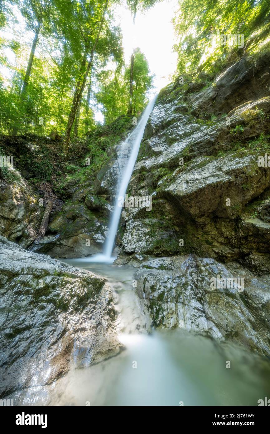 One of the Kesselbach waterfalls with green forest and sun with ...