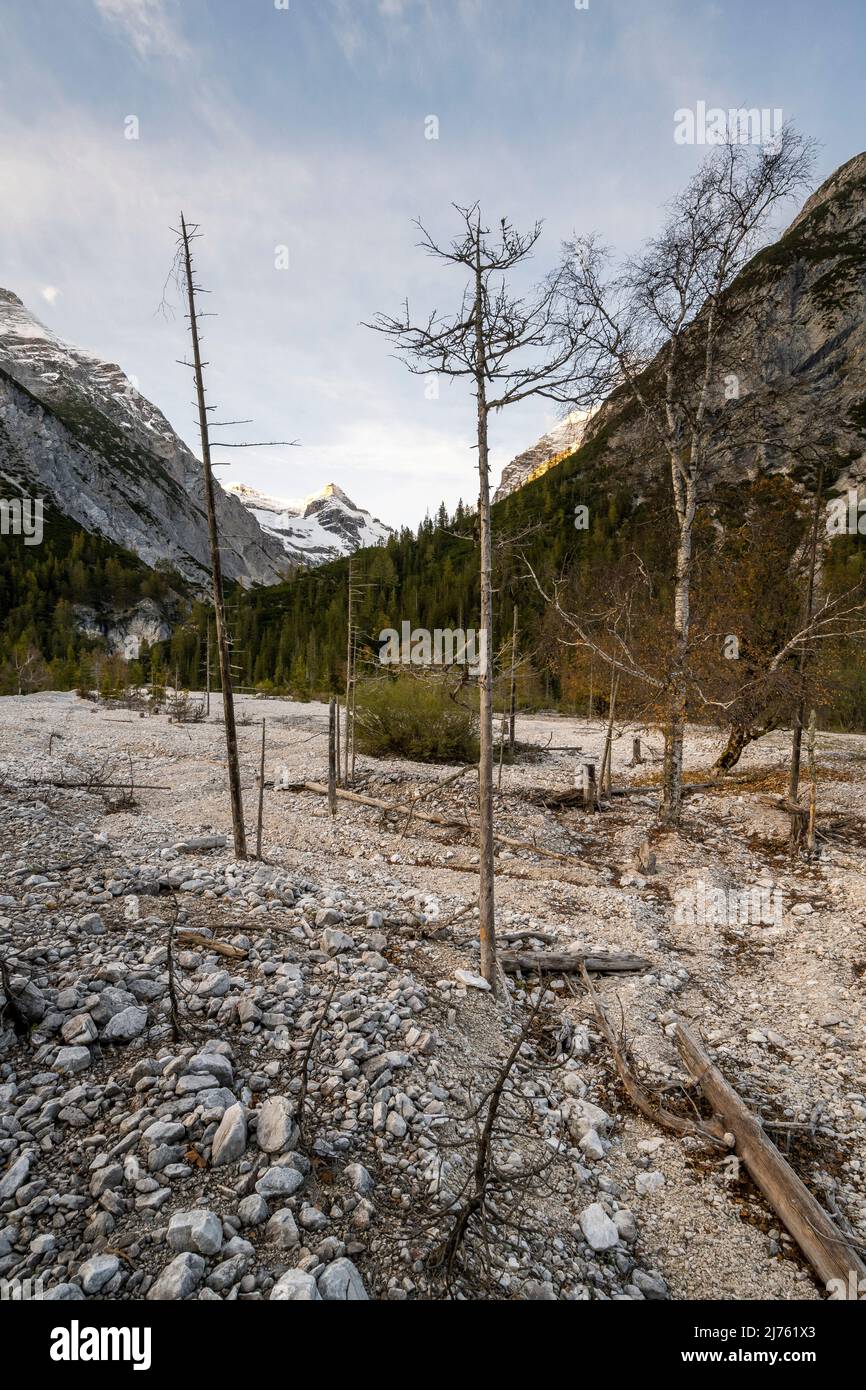 Dry forest mountains hi-res stock photography and images - Alamy