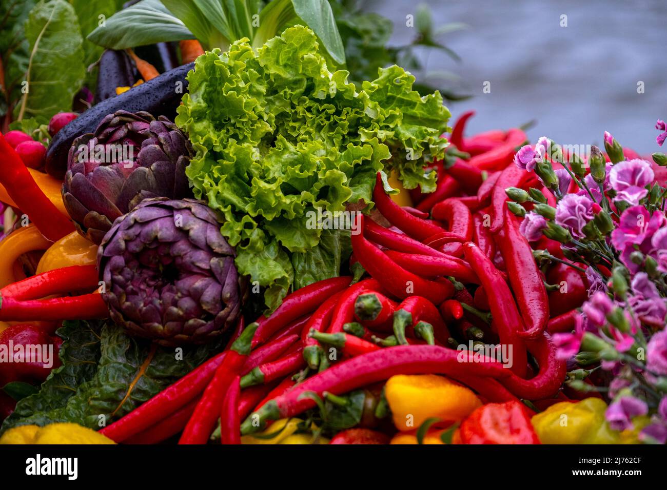 Dieta bio hi-res stock photography and images - Alamy