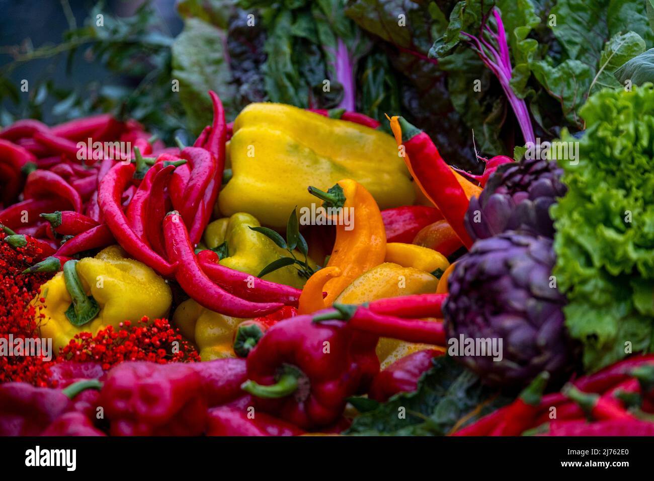 Only vegetables hi-res stock photography and images - Alamy