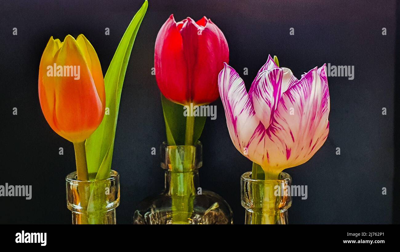 Throw away the gift hi-res stock photography and images - Alamy
