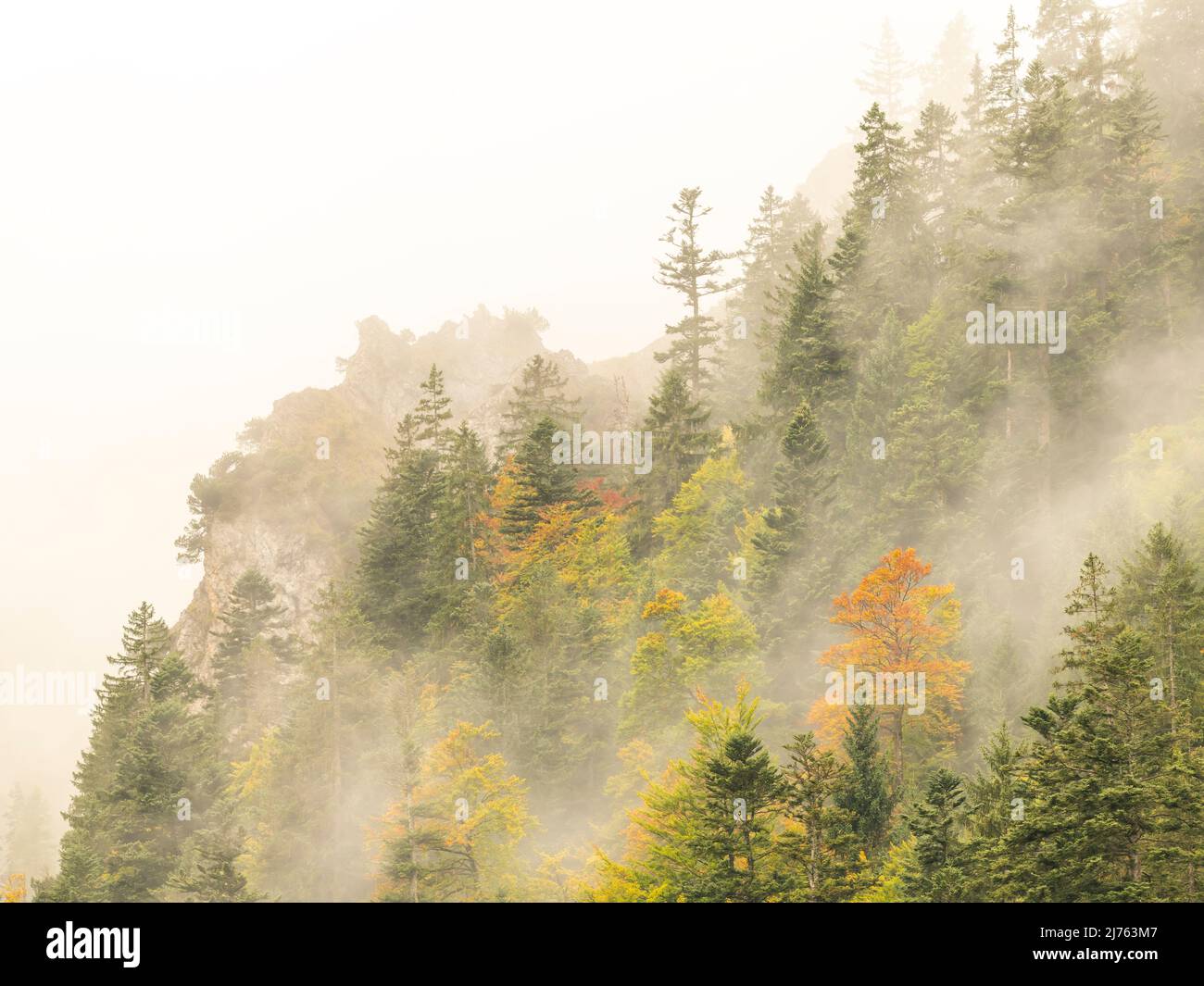 Clouds around the sun hi-res stock photography and images - Alamy