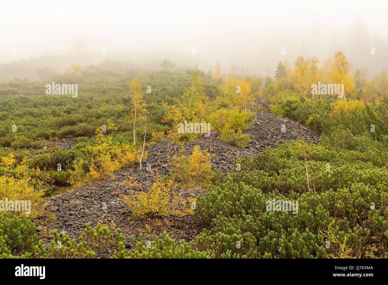 Scree slope hi-res stock photography and images - Alamy
