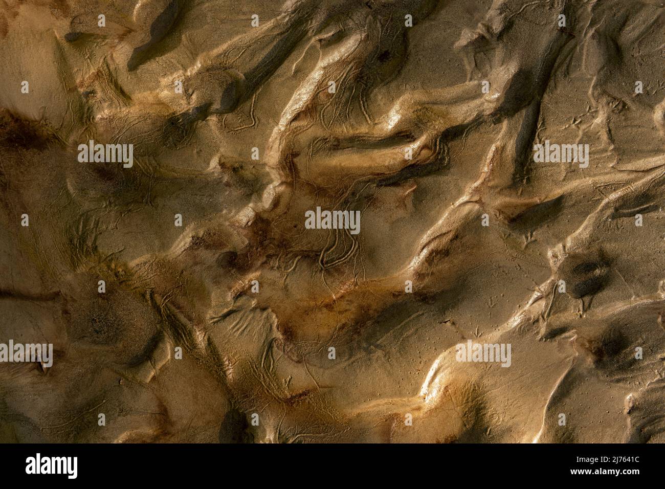 Bank mud with traces of various microorganisms on the bank of the Isel ...