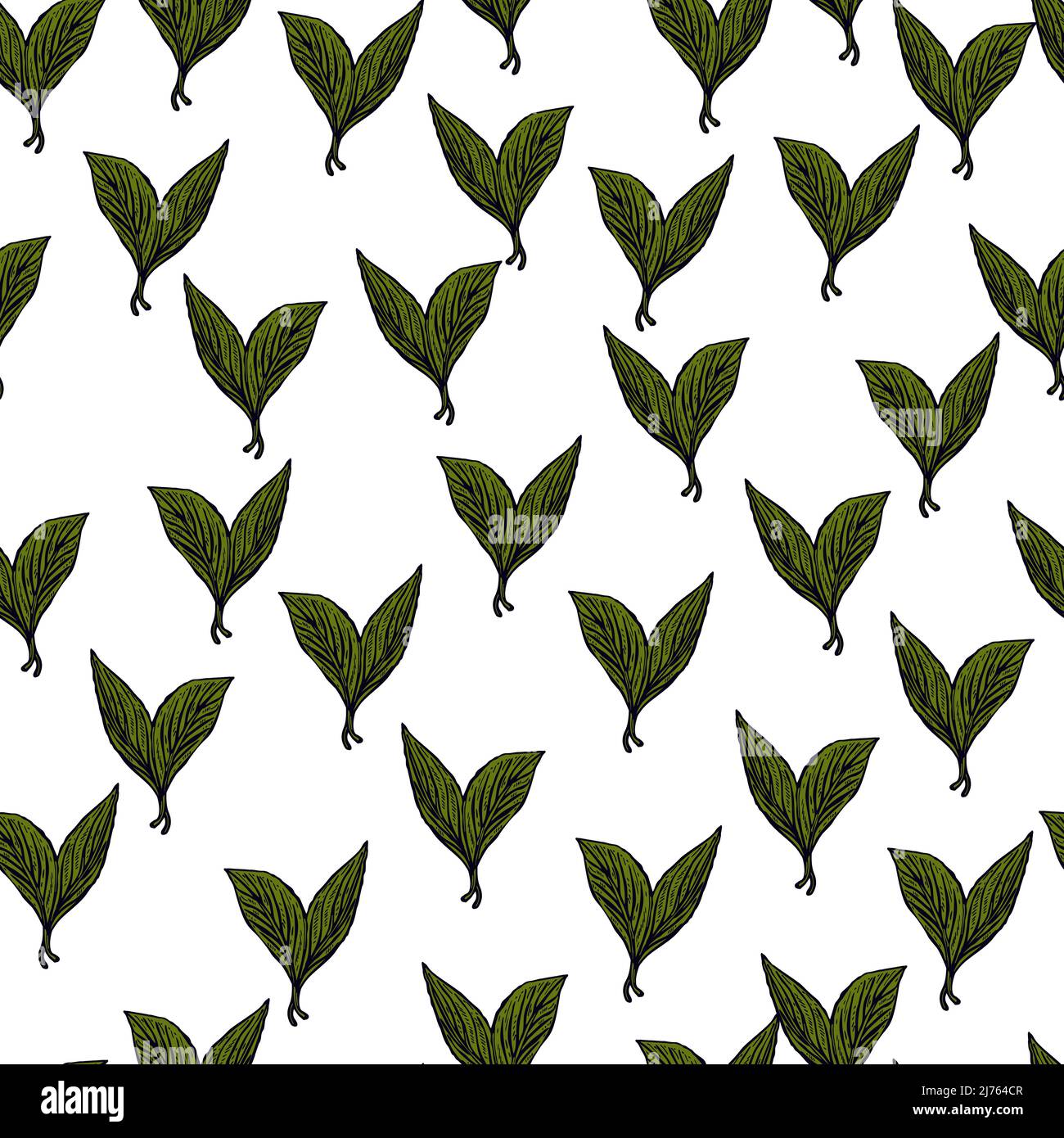 Seamless pattern engraved leaves. Vintage background of tea leaf in ...