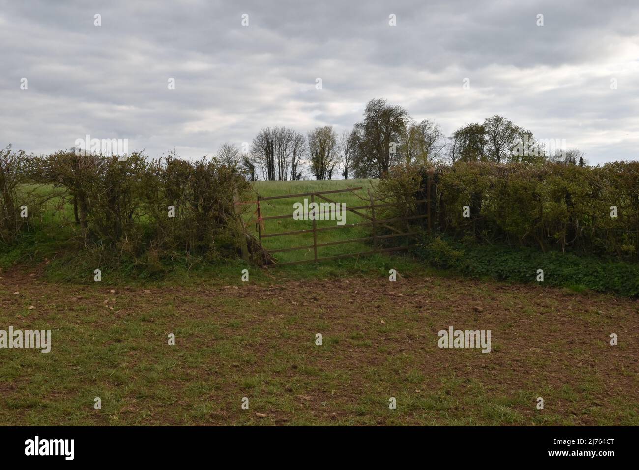 Countryside near Rode, Somerset, England, UK Stock Photo - Alamy