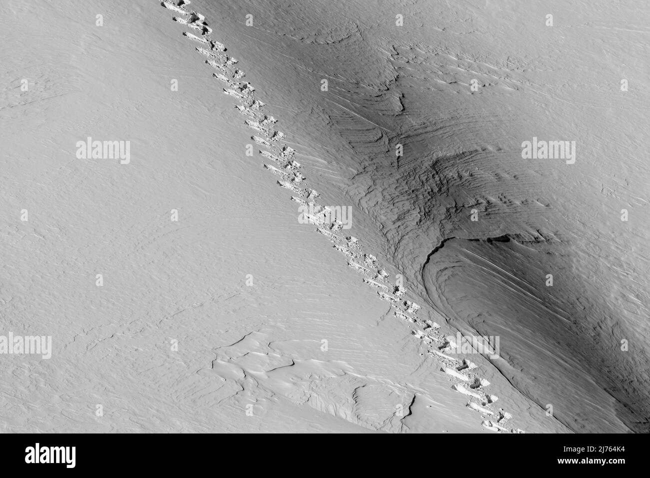 Snowshoe prints hi-res stock photography and images - Alamy