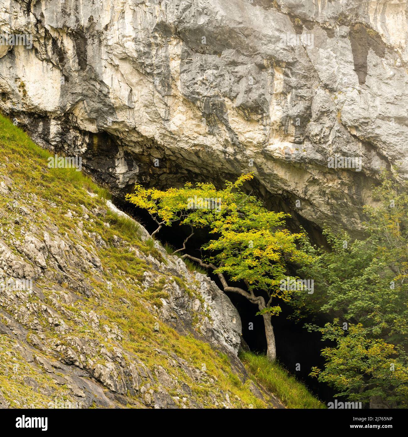 Flank wall hi-res stock photography and images - Alamy
