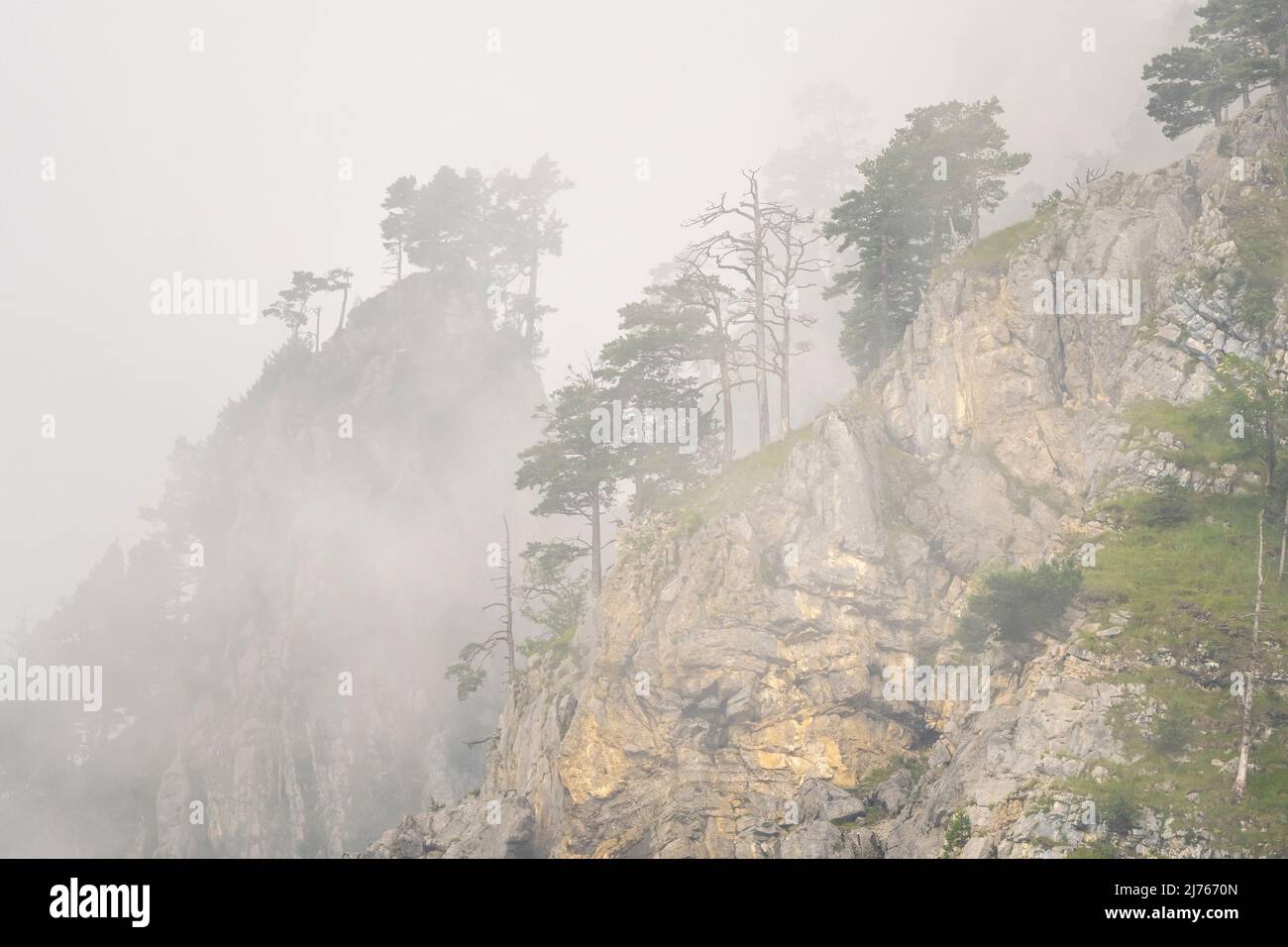 The rock faces at Herzogstand in the Bavarian Alps seen from the water ...