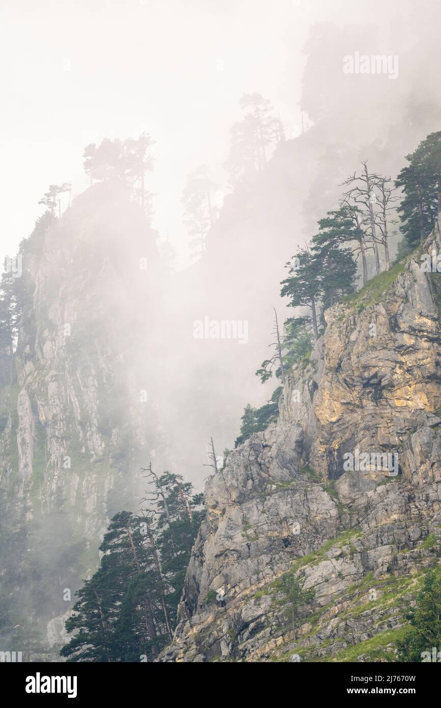 The rock faces at Herzogstand in the Bavarian Alps seen from the water ...