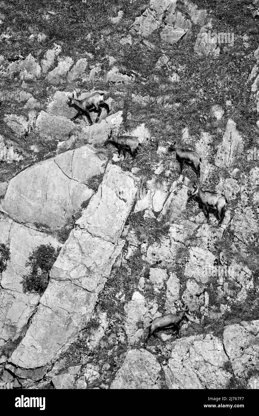 Slab of rocks Black and White Stock Photos & Images - Alamy