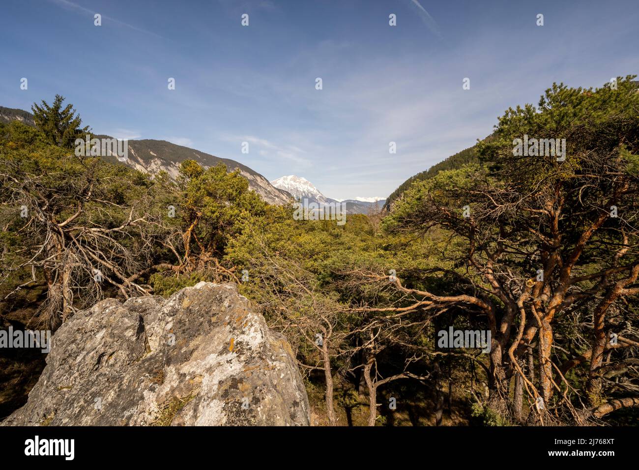 View over the Forchet, the last typical mountain forest in the Inn ...