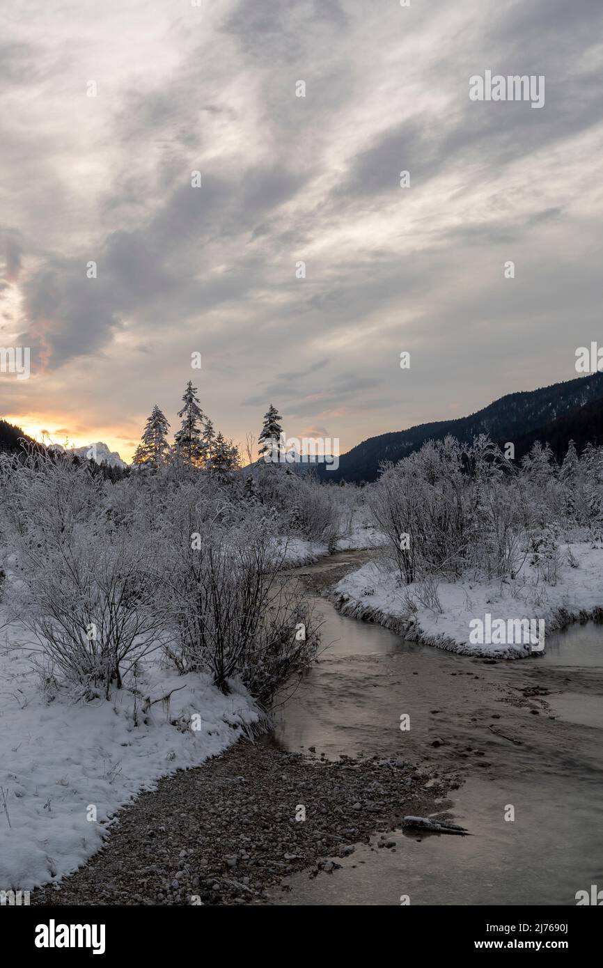 Snowy landscape in the Isar floodplains, with the river and individual ...