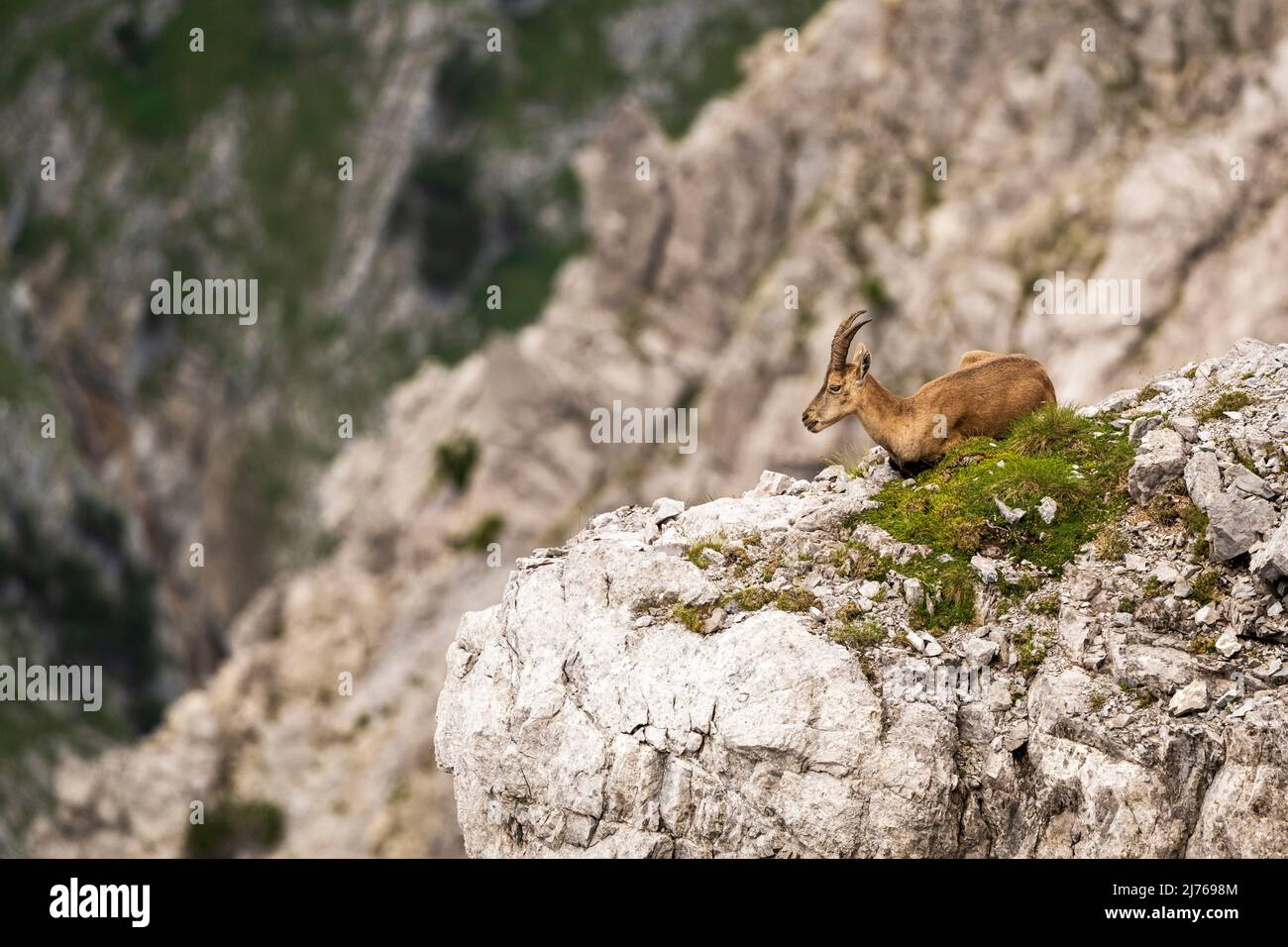 Resting on walls hi-res stock photography and images - Alamy