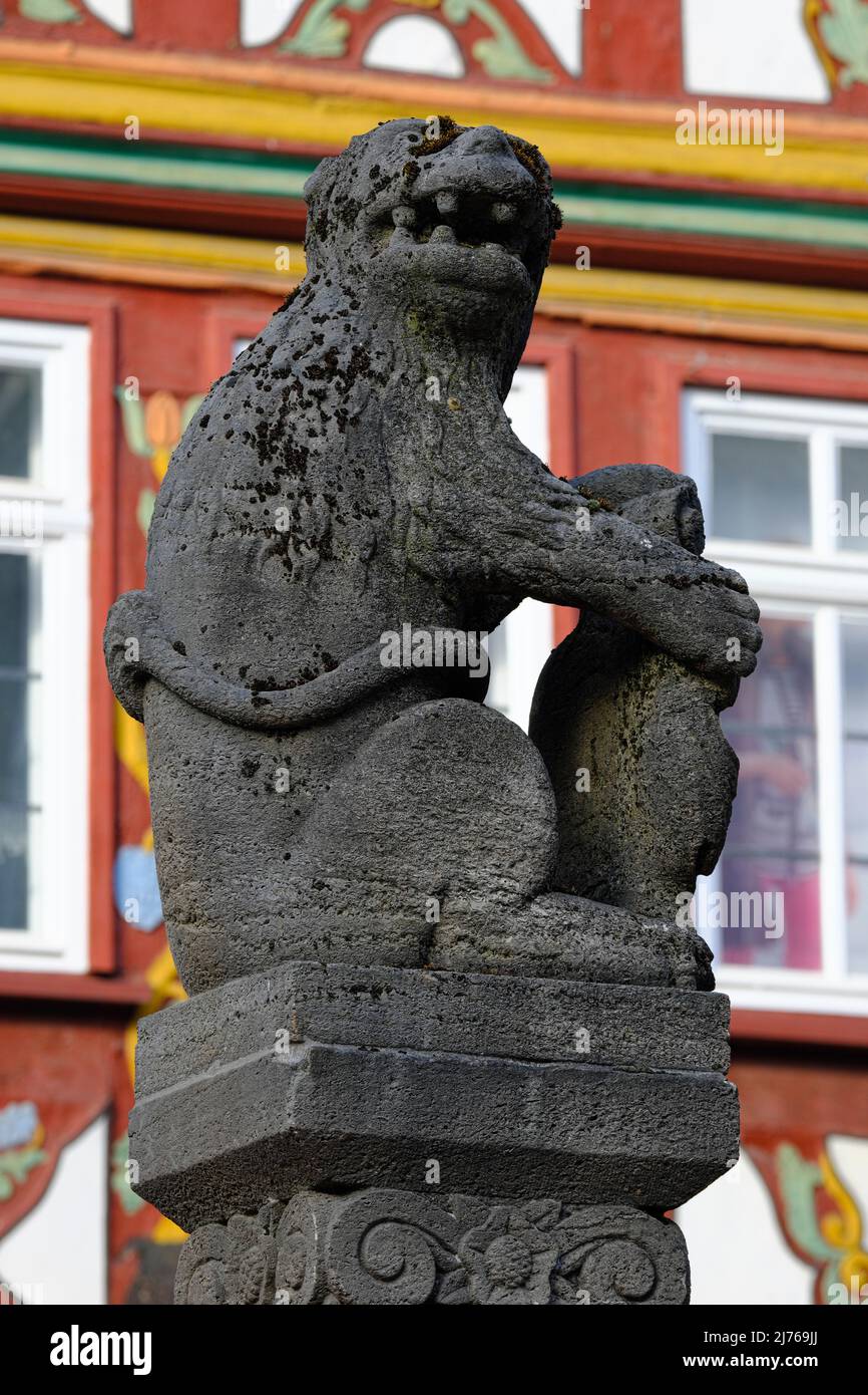 Hessian lion hi-res stock photography and images - Alamy