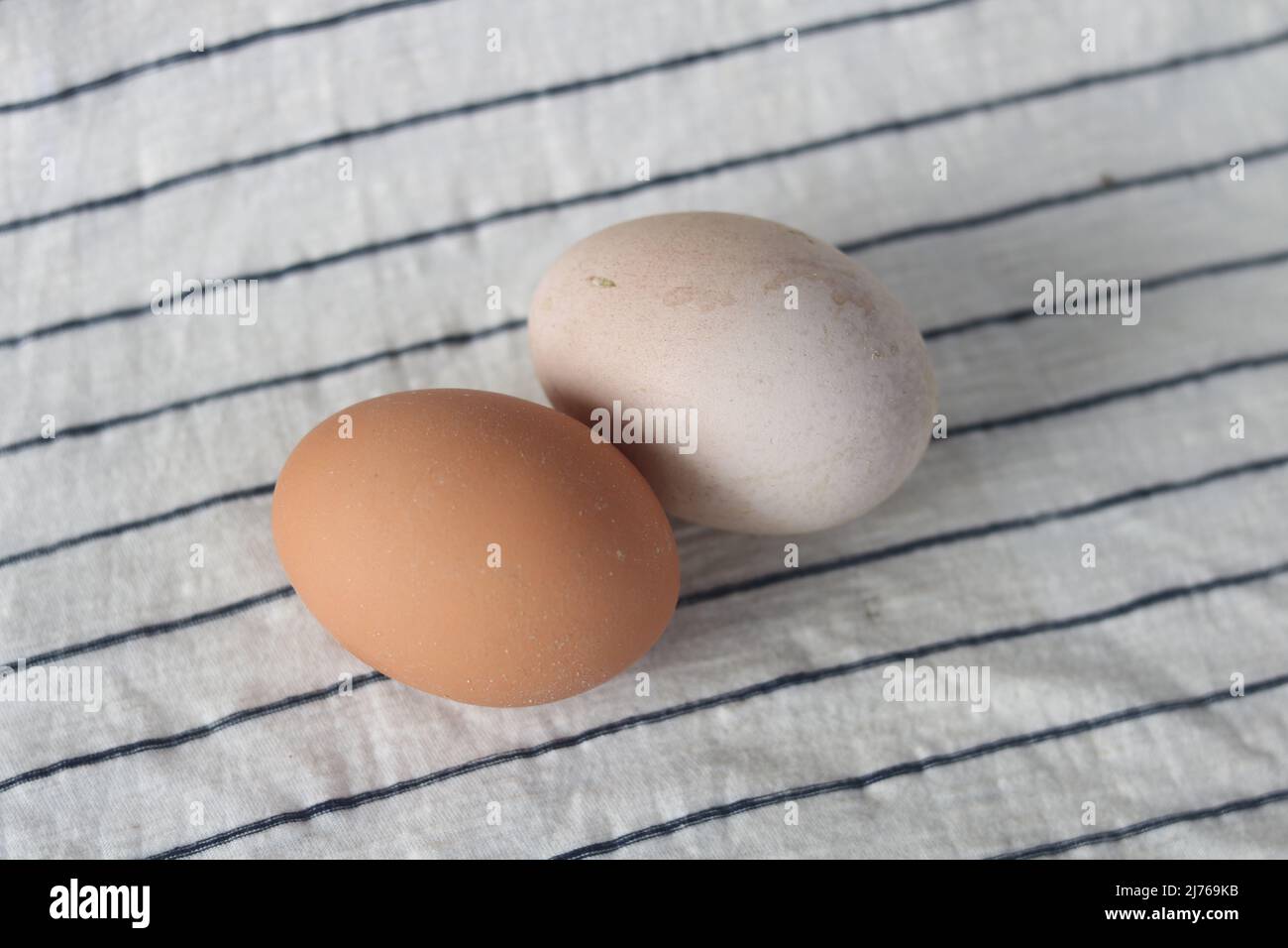 Close up fresh organic eggs chicken farm in the shells, Young fresh ...
