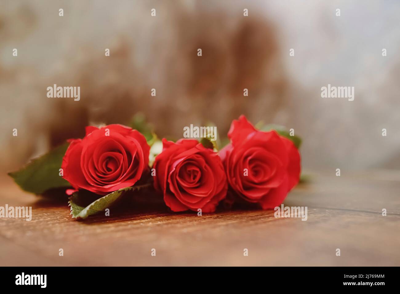 Three red roses Stock Photo - Alamy