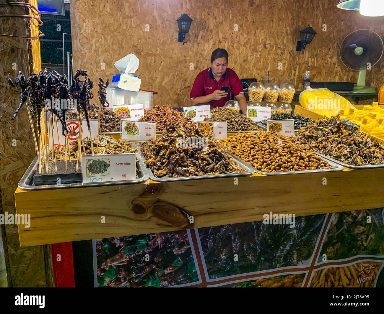 Riverside bugs hi-res stock photography and images - Alamy