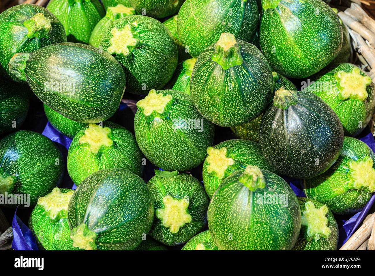 Round courgette plant hi-res stock photography and images - Alamy