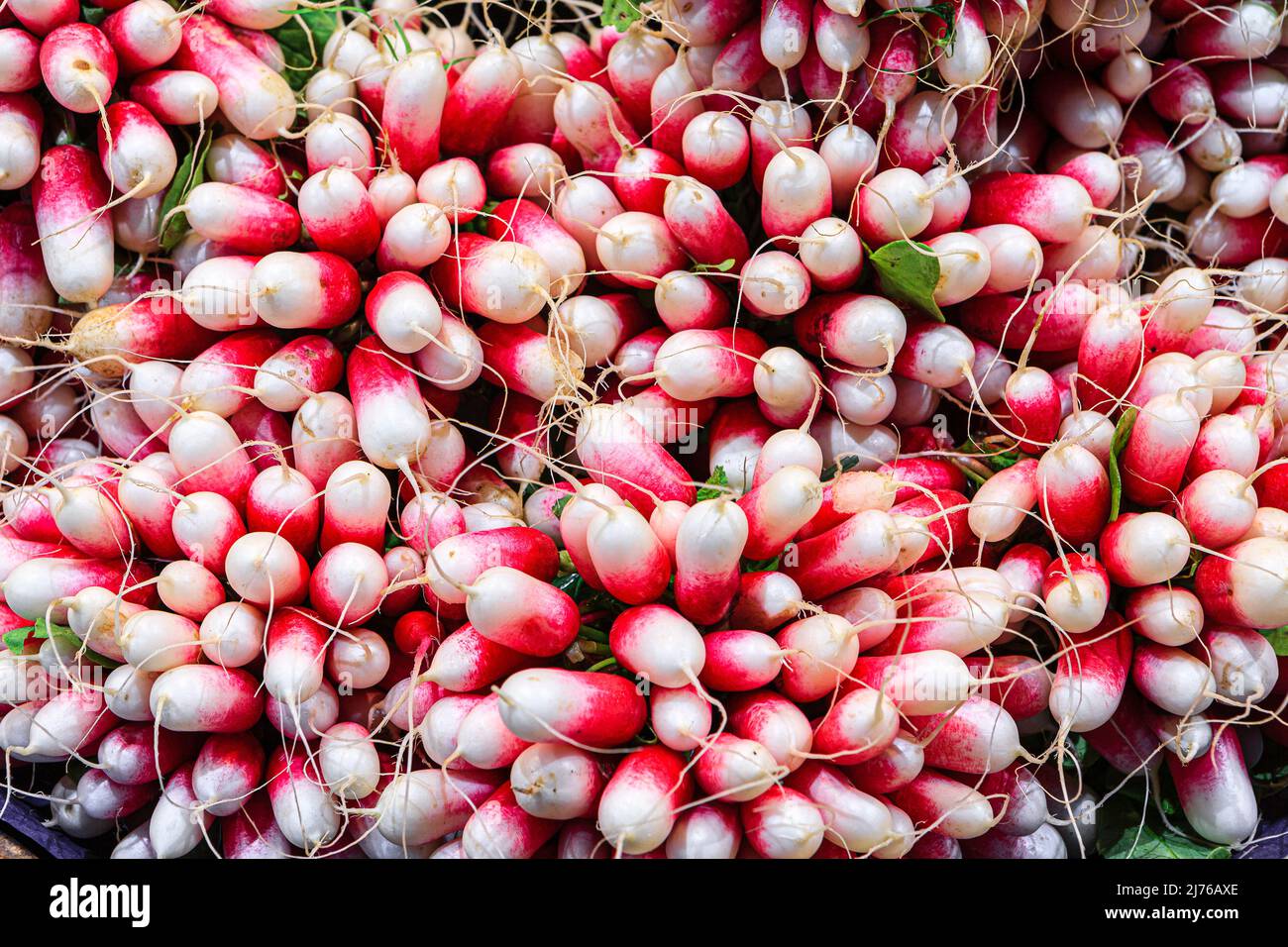 Radish vendor hi-res stock photography and images - Alamy