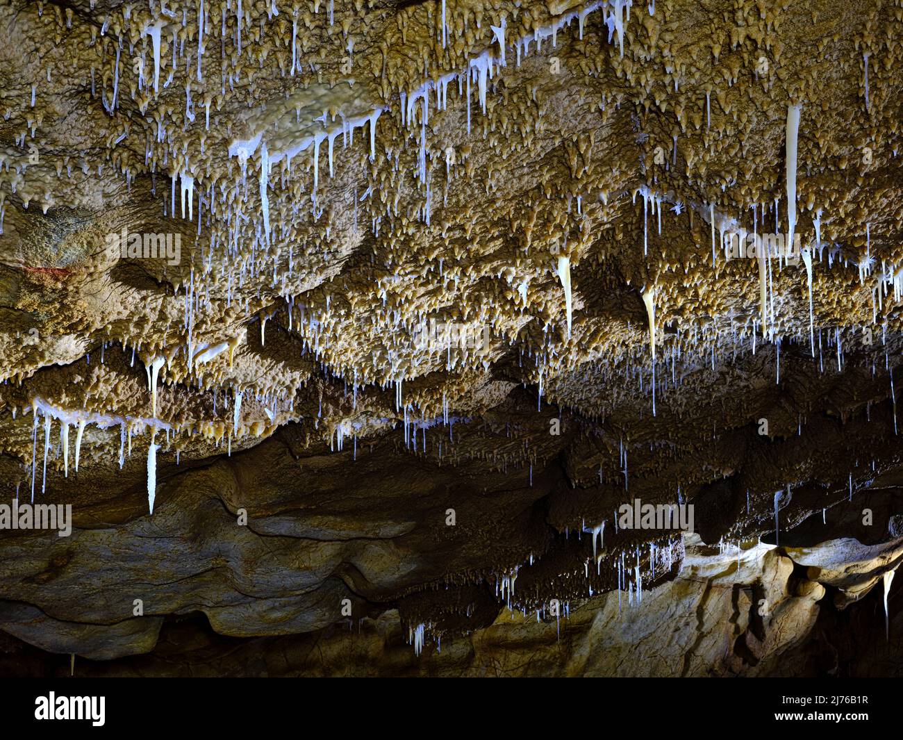 Europe, Germany, Hesse, Westerwald, Geopark Westerwald-Lahn-Taunus ...