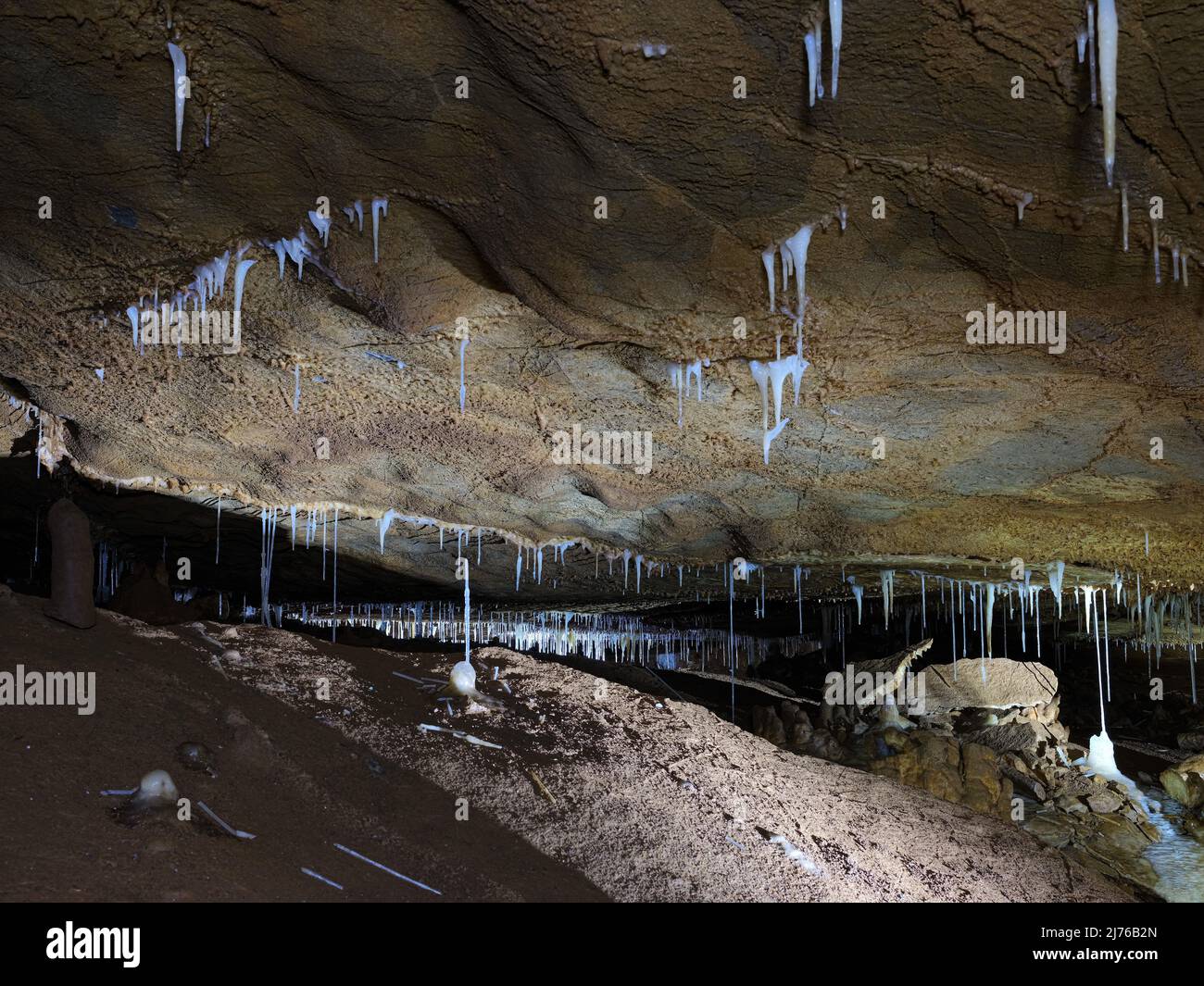 Europe, Germany, Hesse, Westerwald, Geopark Westerwald-Lahn-Taunus ...