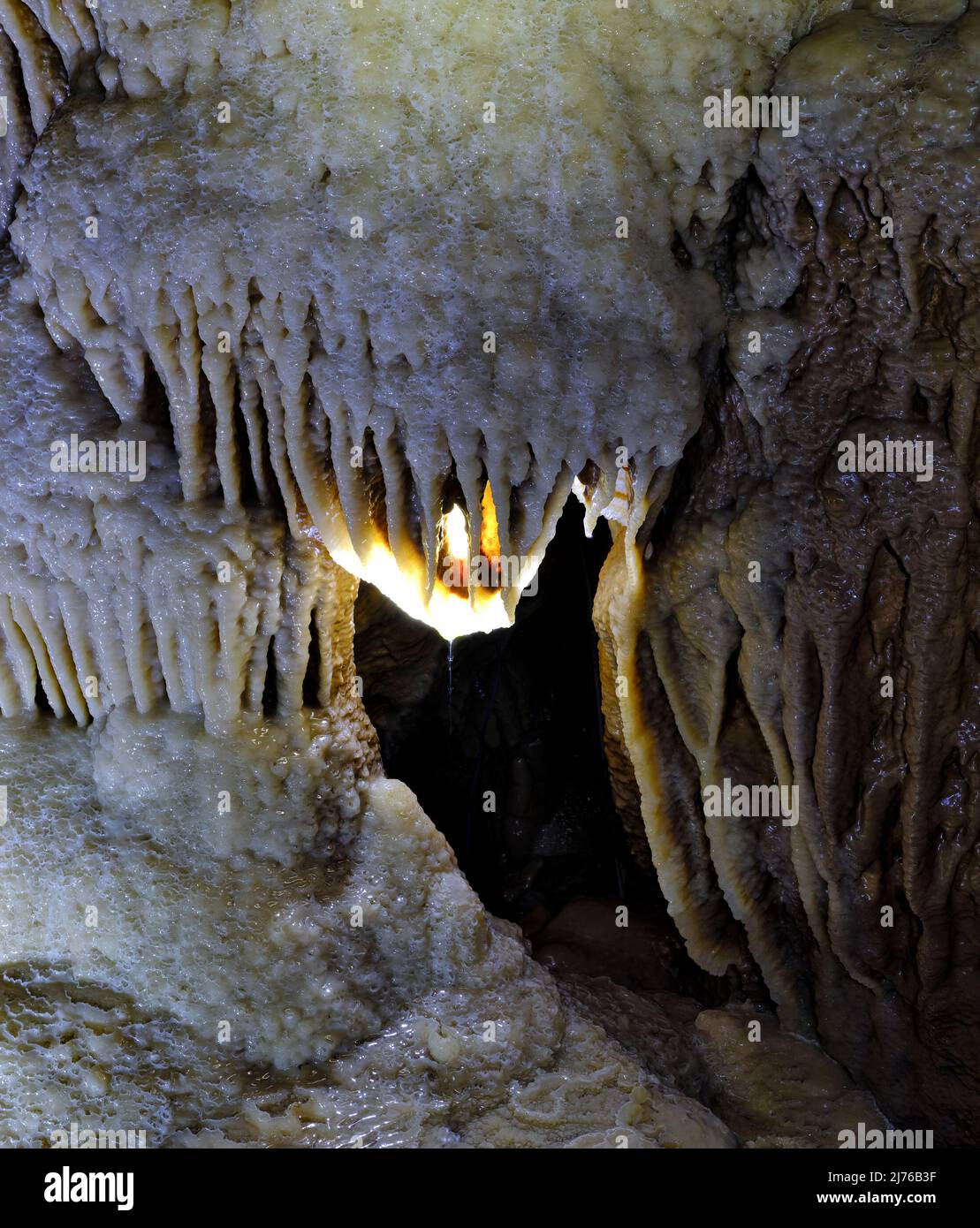 Europe, Germany, Hesse, Westerwald, Geopark Westerwald-Lahn-Taunus ...