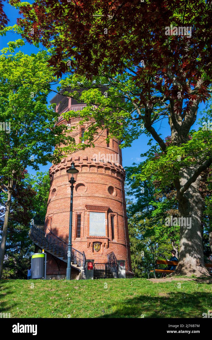 Wien, Vienna: park Türkenschanzpark, observation tower Paulinenwarte in ...