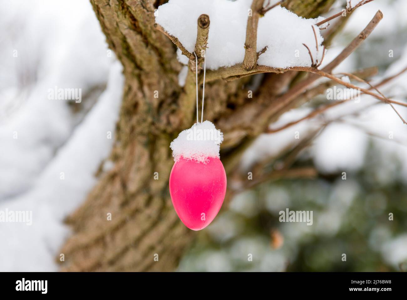 Snow covered easter egg on a tree hi-res stock photography and images ...