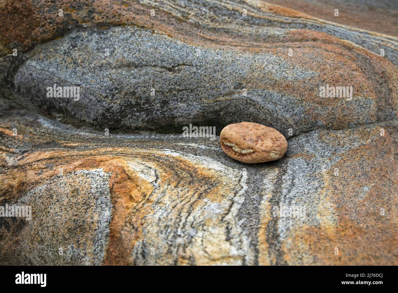 Curved structures hi-res stock photography and images - Alamy