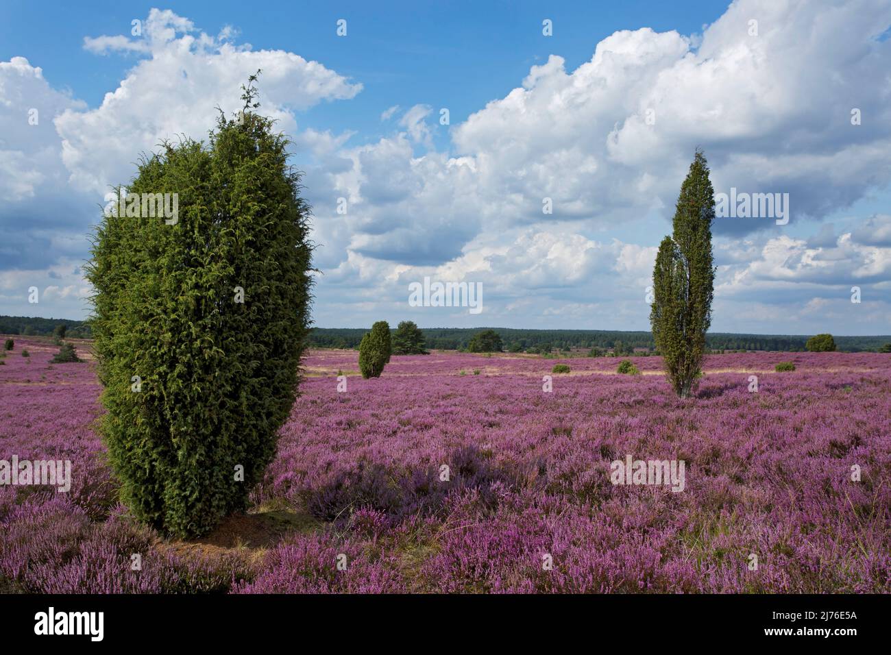 Pastor bode weg hi-res stock photography and images - Alamy