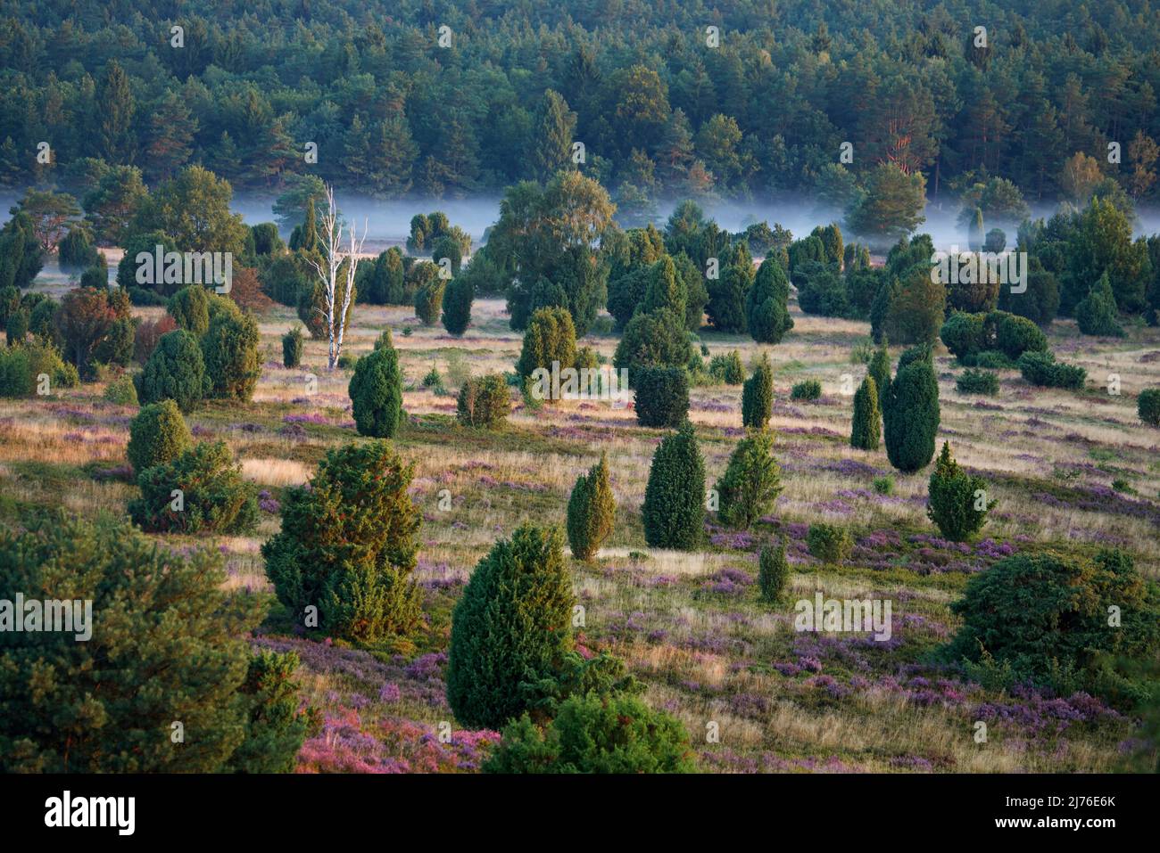 Morning fog over landscape hi-res stock photography and images - Alamy