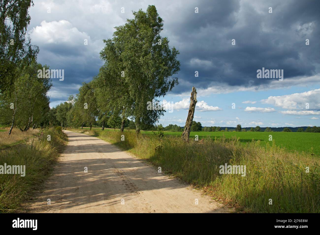 Vegetation lined hi-res stock photography and images - Alamy